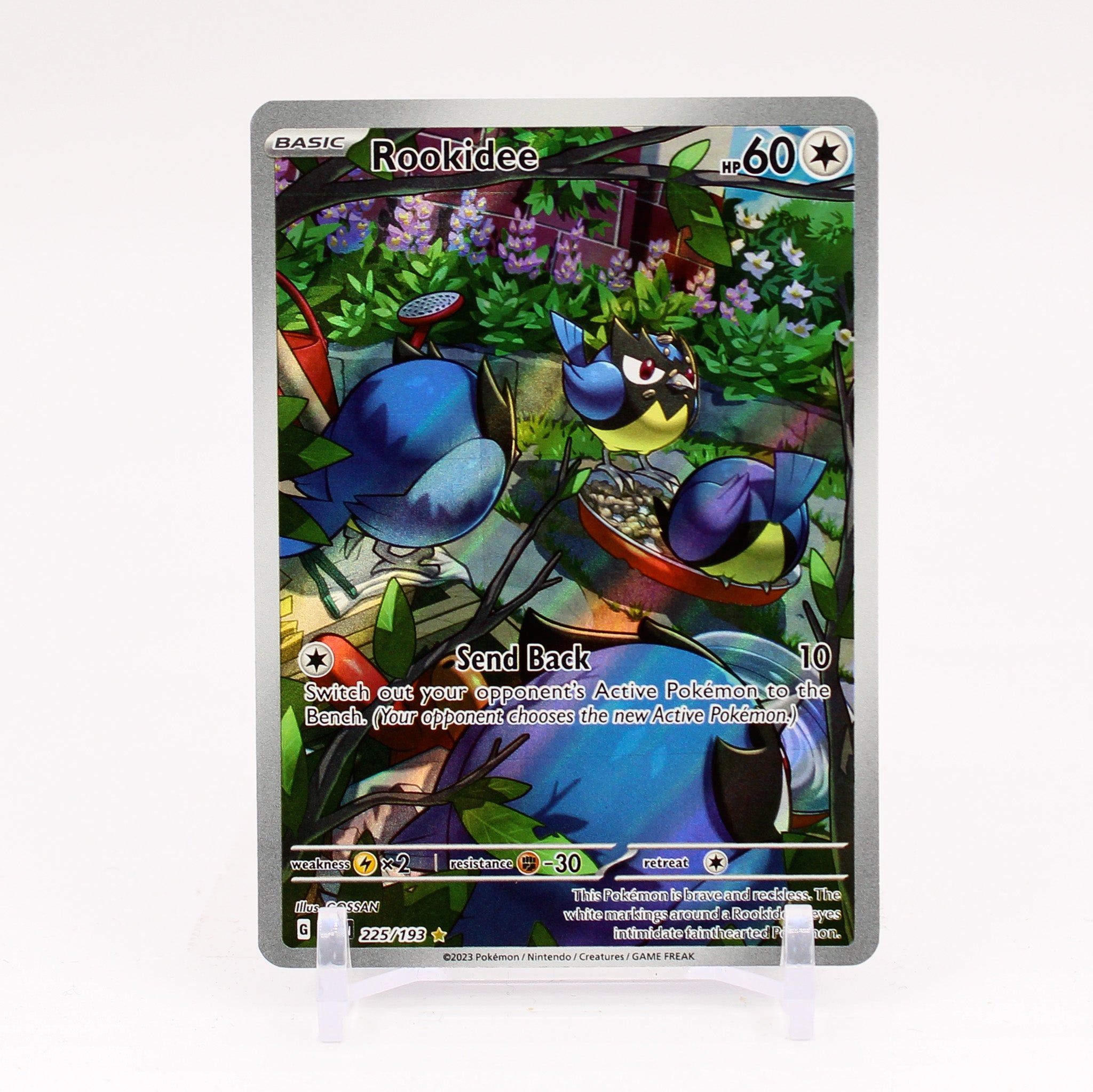 Rookidee - 225/193 Paldea Evolved ILLUSTRATION RARE Pokemon - NM/MINT ...
